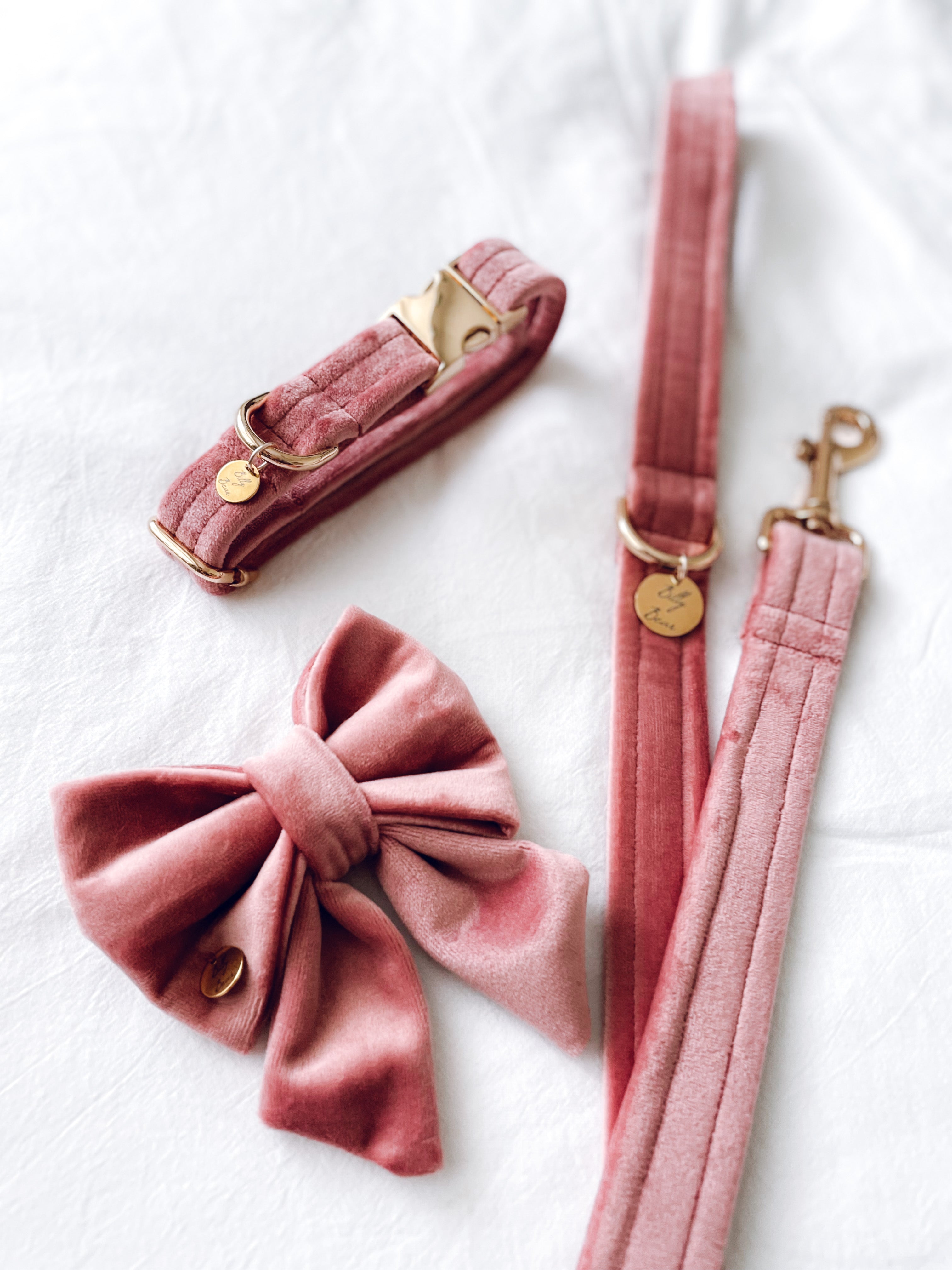 Sasha Collar – Billy Bear