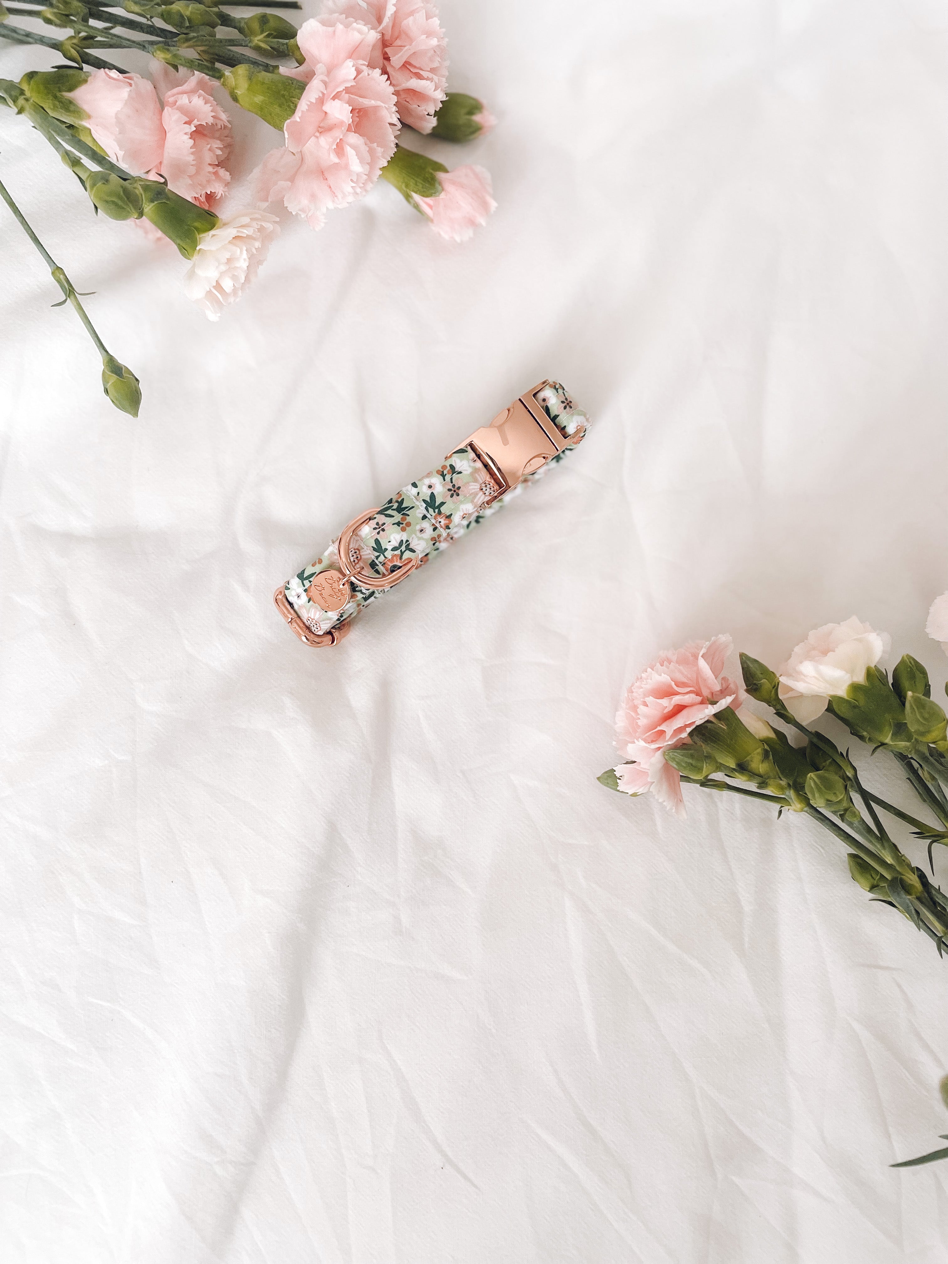 Daisy Collar – Billy Bear