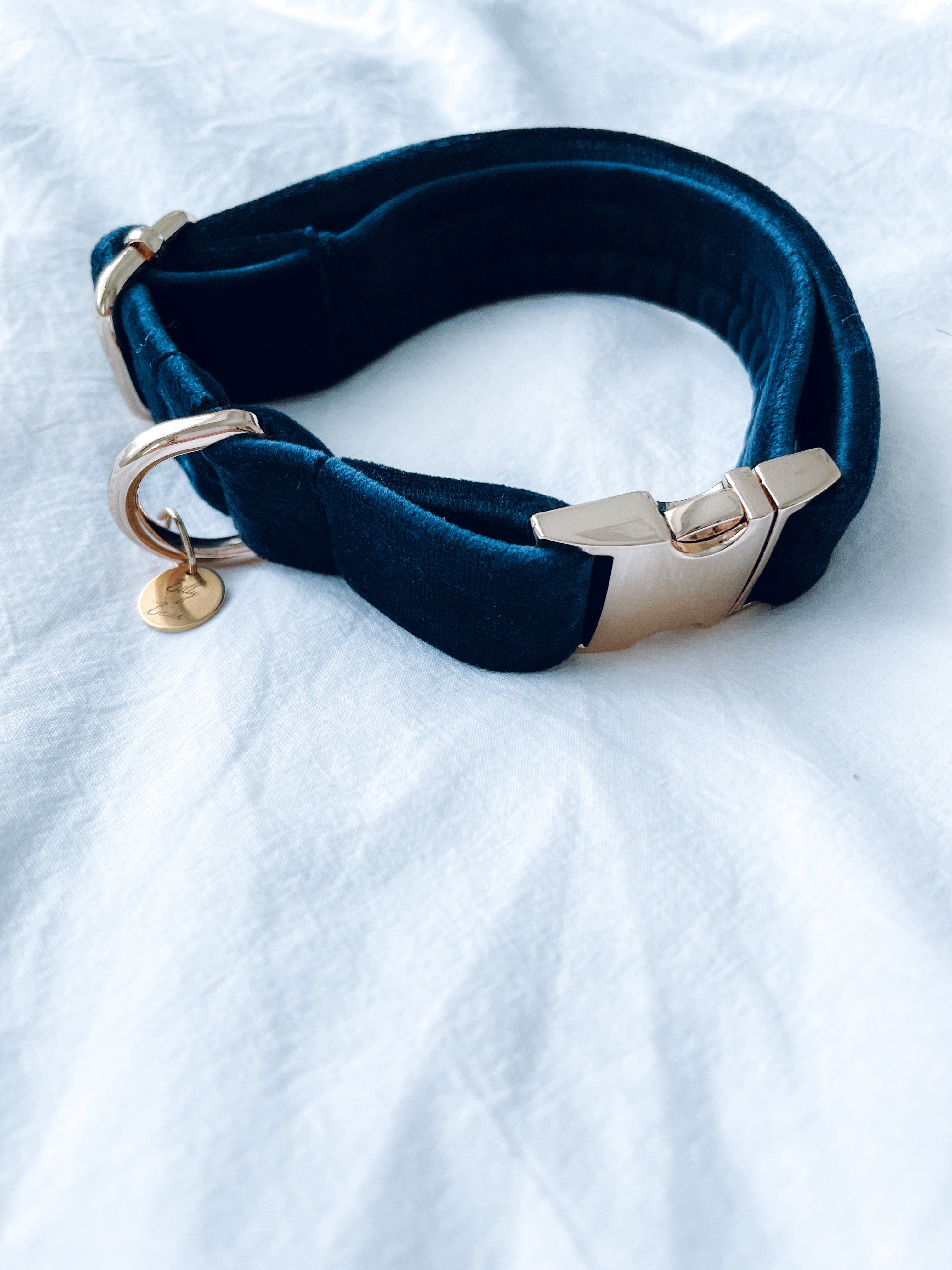 William Collar – Billy Bear