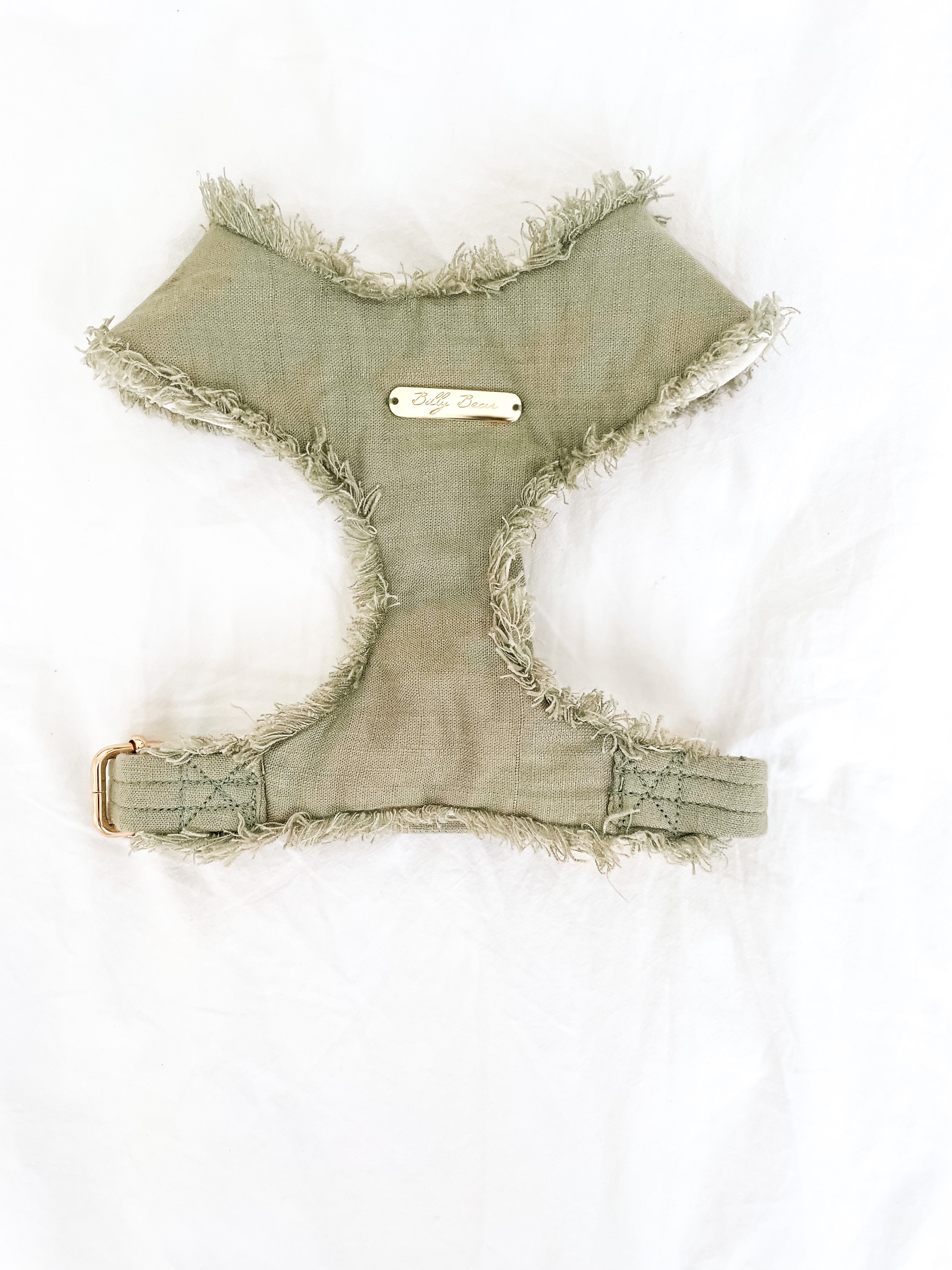 Holly Harness – Billy Bear